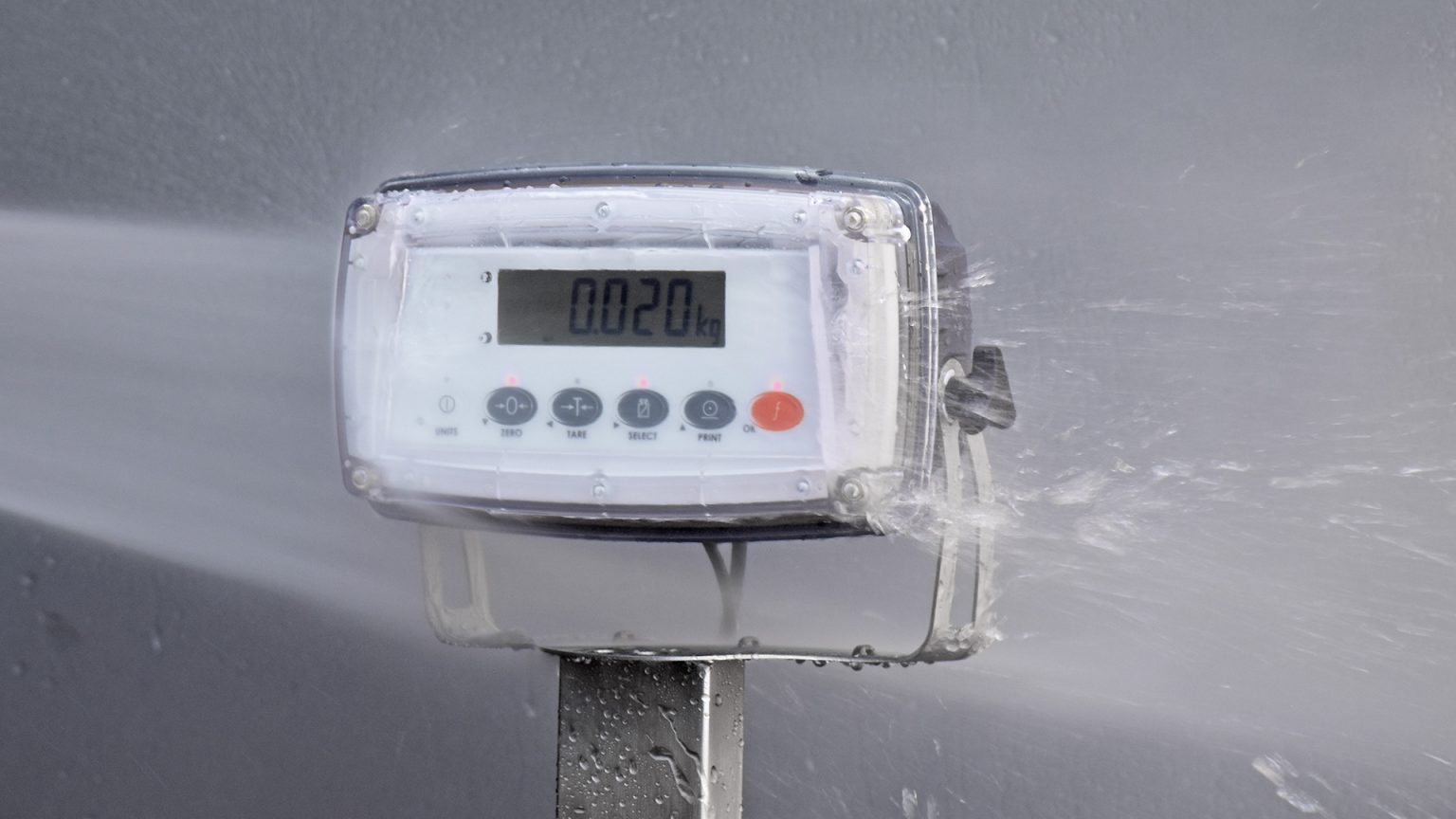ProLine Floor Scale | Barcelbal