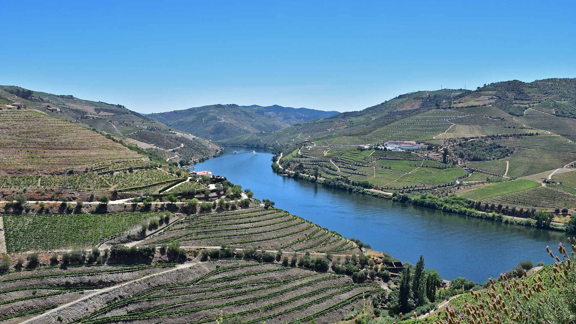 Quinta do Crasto: do Douro para o mundo! | Barcelbal